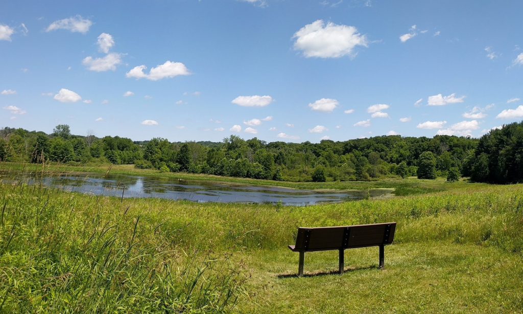 University of Akron Field Station – Dr. Paul E. Martin Center for Field ...